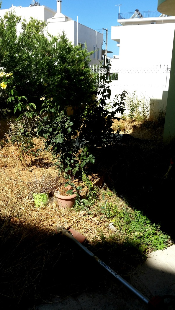 ΣΥΝΘΕΤΙΚΟΣ ΧΛΟΟΤΑΠΗΤΑΣ ΚΑΙ ΠΑΡΤΕΡΙΑ ΚΗΠΟΥ | ΤΟΥΤΣΗΣ