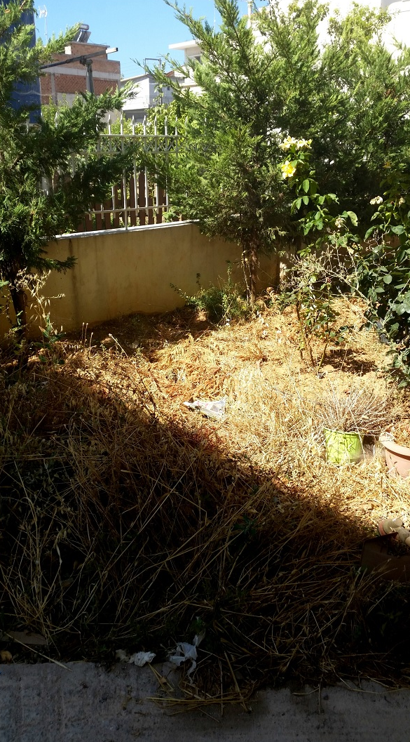 ΣΥΝΘΕΤΙΚΟΣ ΧΛΟΟΤΑΠΗΤΑΣ ΚΑΙ ΠΑΡΤΕΡΙΑ ΚΗΠΟΥ | ΤΟΥΤΣΗΣ